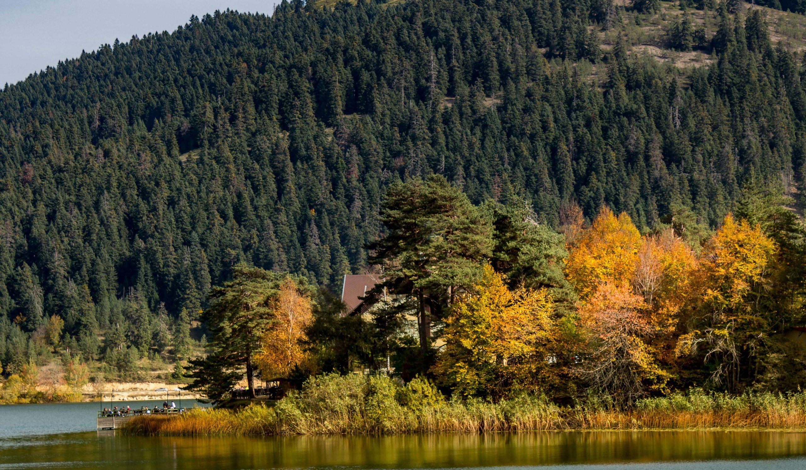 10 Stunning Autumn Colour Palettes Examples with Colour Codes - Quinn ...